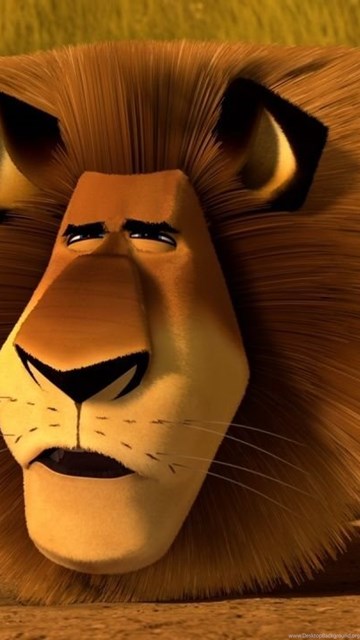 Madagascar 3 Alex The Lion Hd Desktop Wallpapers Widescreen