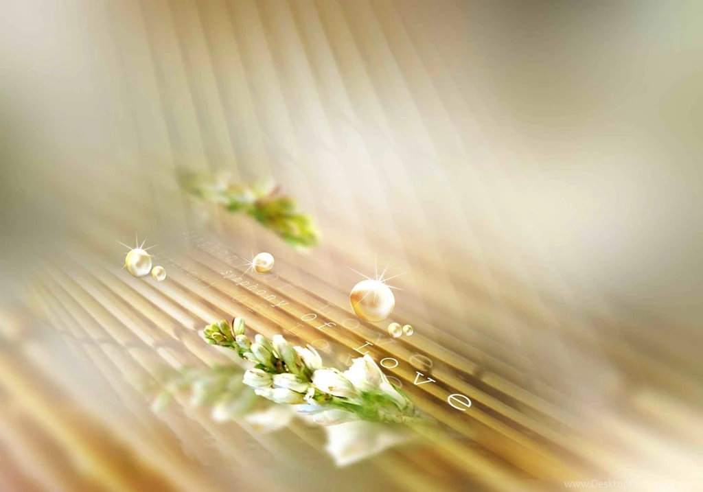 Photoshop Backgrounds Designs Psd Free Download ~ PSD Desktop Background